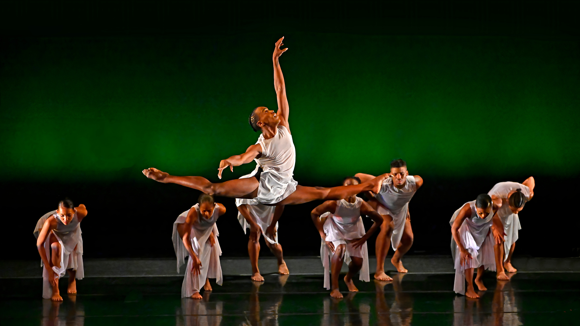 Cleo Parker Robinson: The MOVE/ment - Fine Arts Center